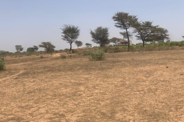 Terrain 2,4 ha à vendre à Notto Diobass, Thiès | Se Loger