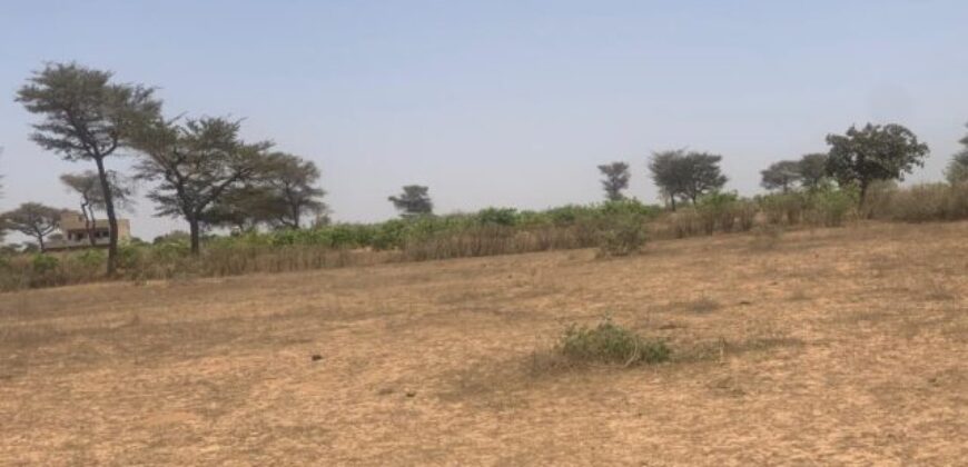 Terrain 2,4 ha à vendre à Notto Diobass, Thiès | Se Loger