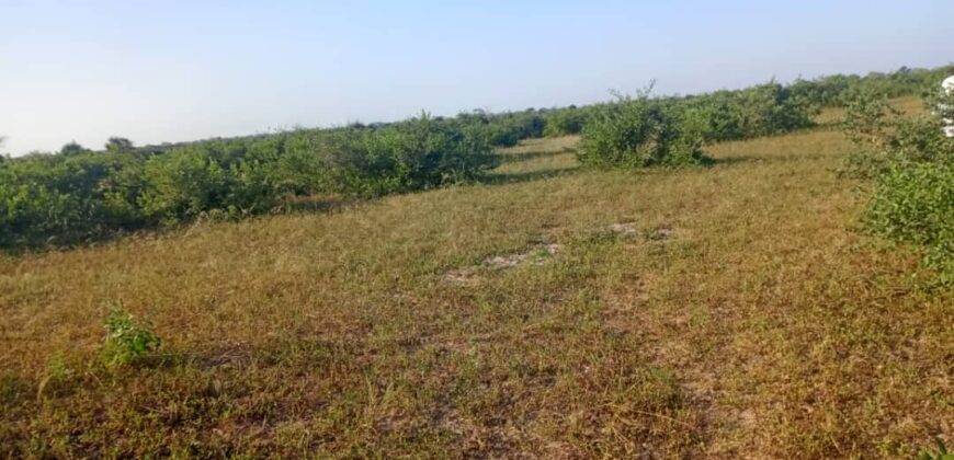 Terrain 9 ha à vendre à Notto Diobass, Thiès | Se Loger